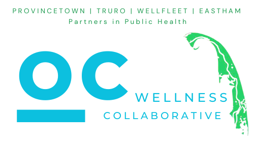 Press Release: Outer Cape Towns Launch OC Wellness Collaborative ...